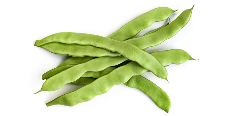 Haricots Plats - Temps de Cuisson & Préparation - QuelleCuisson.com