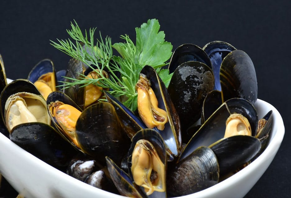 Moules - Temps de Cuisson & Préparation - QuelleCuisson.com